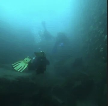 SCUBA (Underwater) Club | Imperial College Union